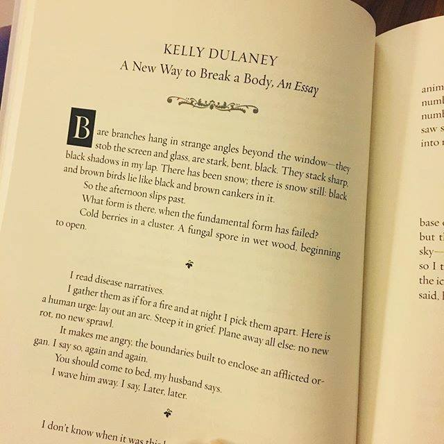 News + Events – Kelly Dulaney